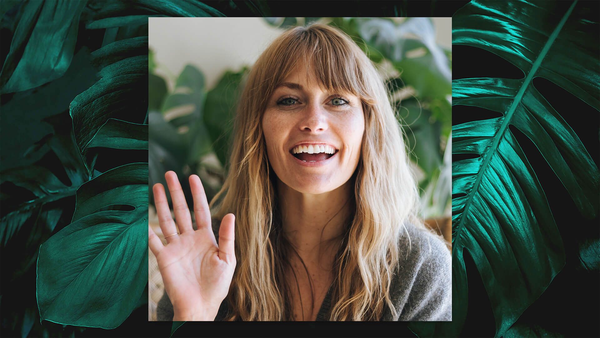 Custom Foliage Video Templates for VidDay