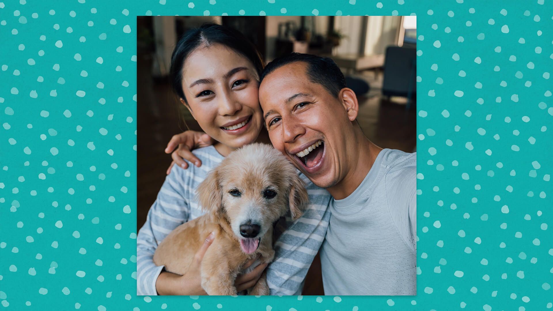 Custom Gift Wrap Video Templates for VidDay